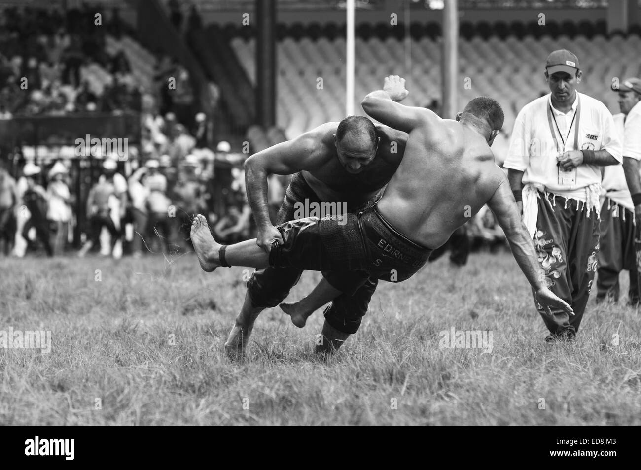 Wrestlers Turkish pehlivan at the competition in traditional Kirkpinar ...