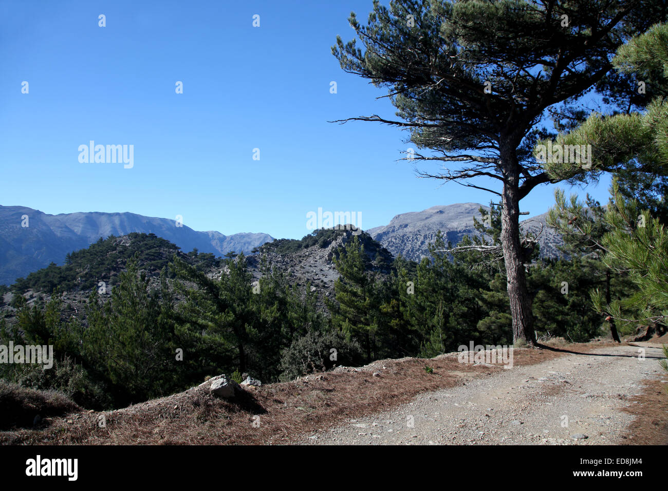 A mountain road in central Crete in winter showing how rugged and ...