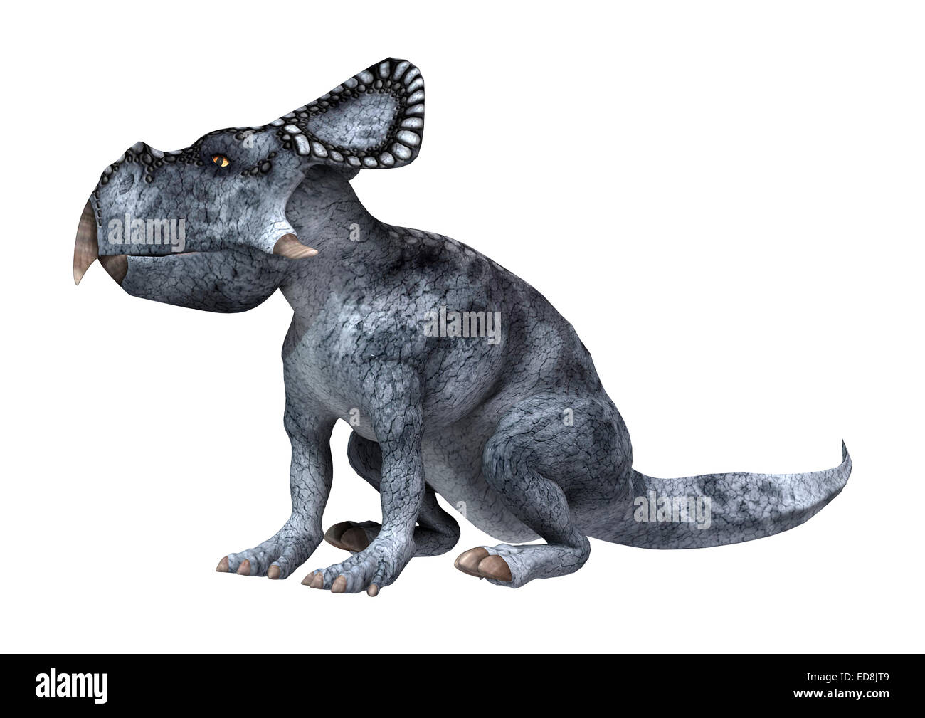 3D digital render of a dinosaur protoceratops isolated on white ...