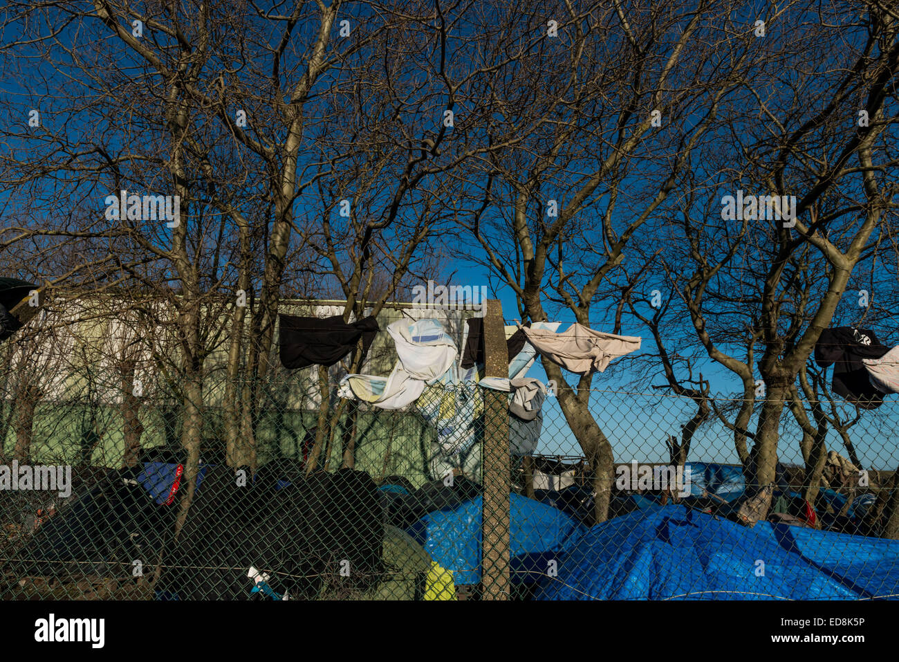 Thousands of illegal immigrants living in harsh conditions in Calais ...