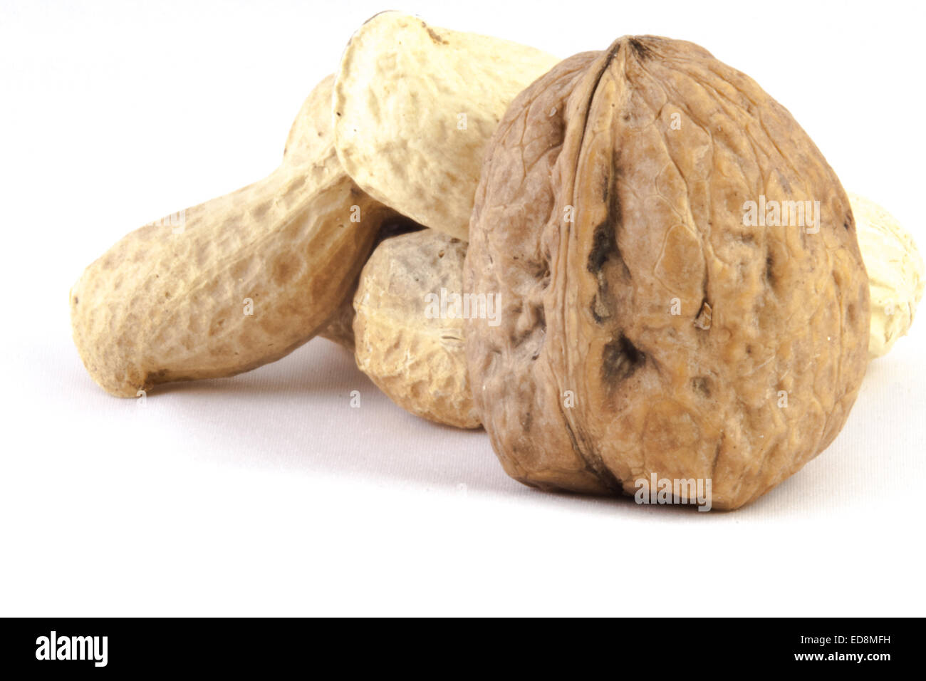 Face to Face with walnut. Macro Image with Walnut and Peanuts Stock ...