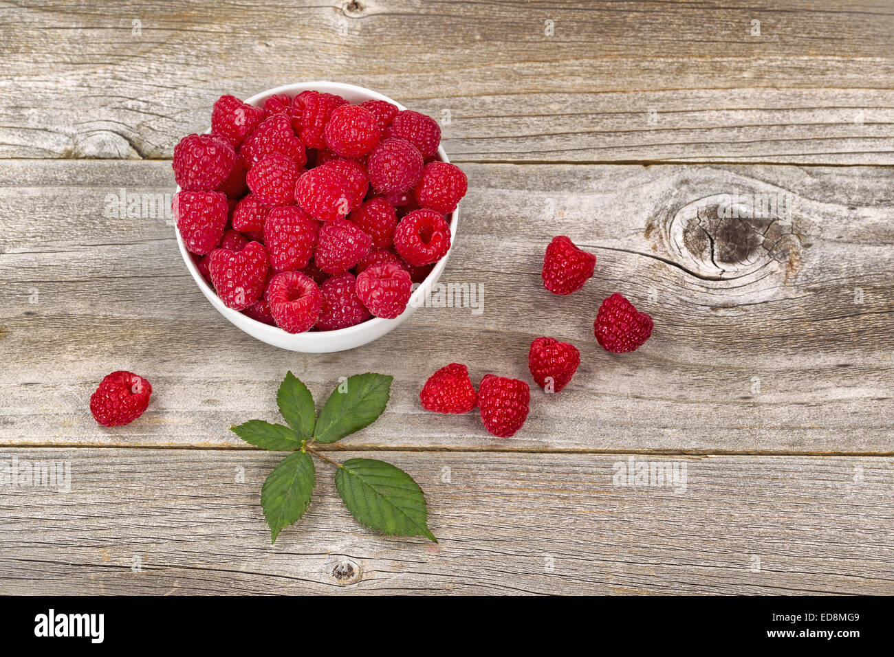 Top view image of fresh Raspberries in white bowl, some falling out, on ...