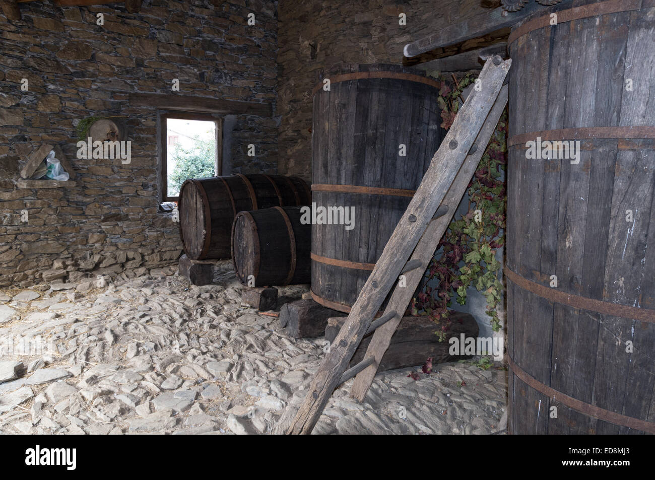 Dark cellar of house hi-res stock photography and images - Alamy