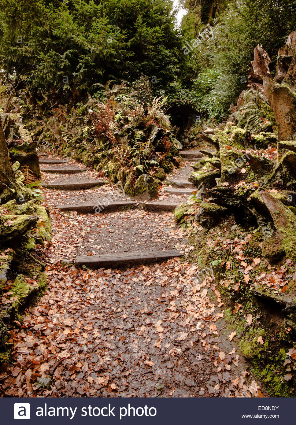 Diverging Path High Resolution Stock Photography and Images - Alamy