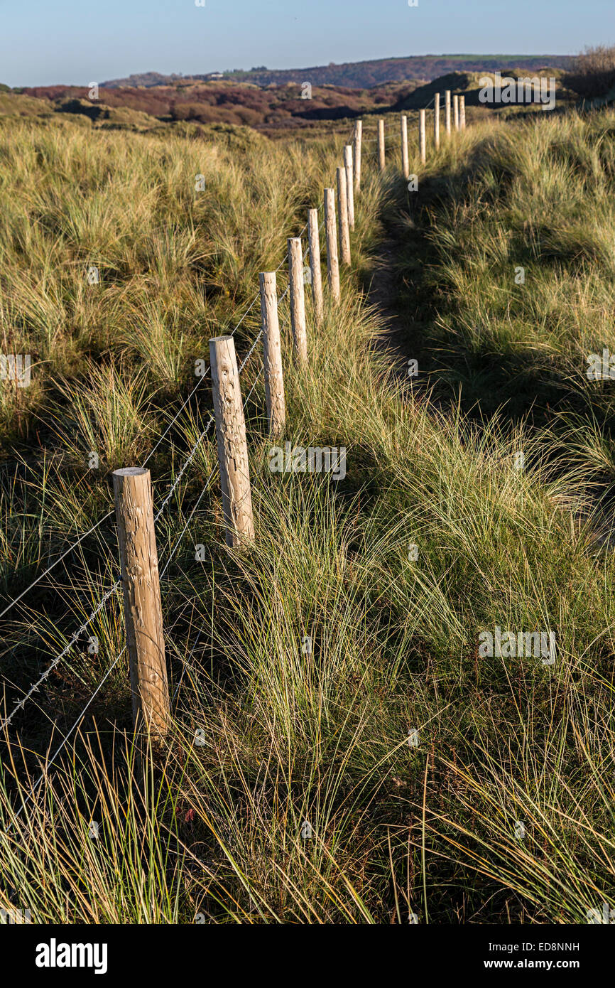 Fixed dune habitat hi-res stock photography and images - Alamy