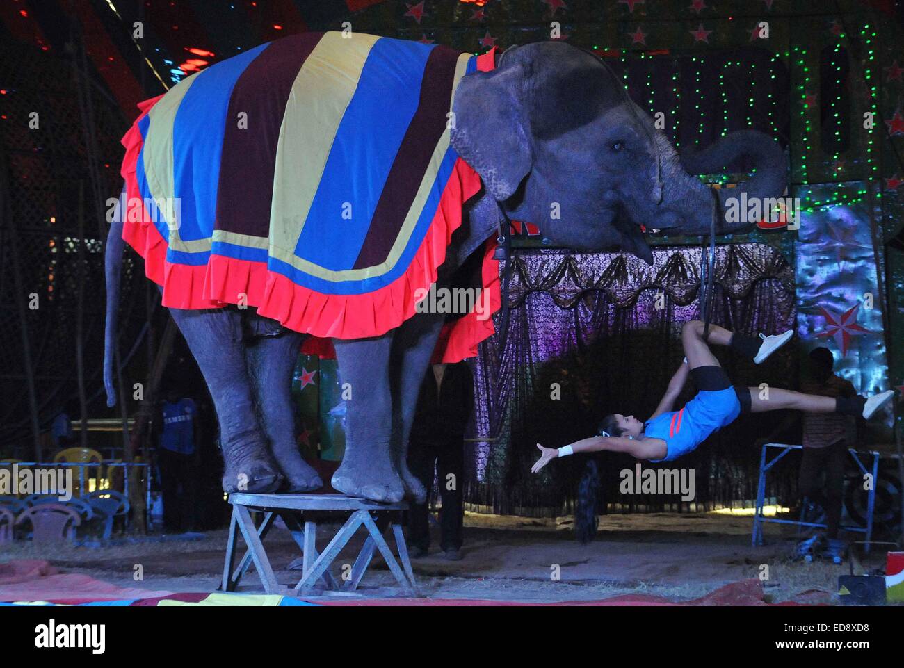 An artist performs during the special show of Ajanta Circus before the ...