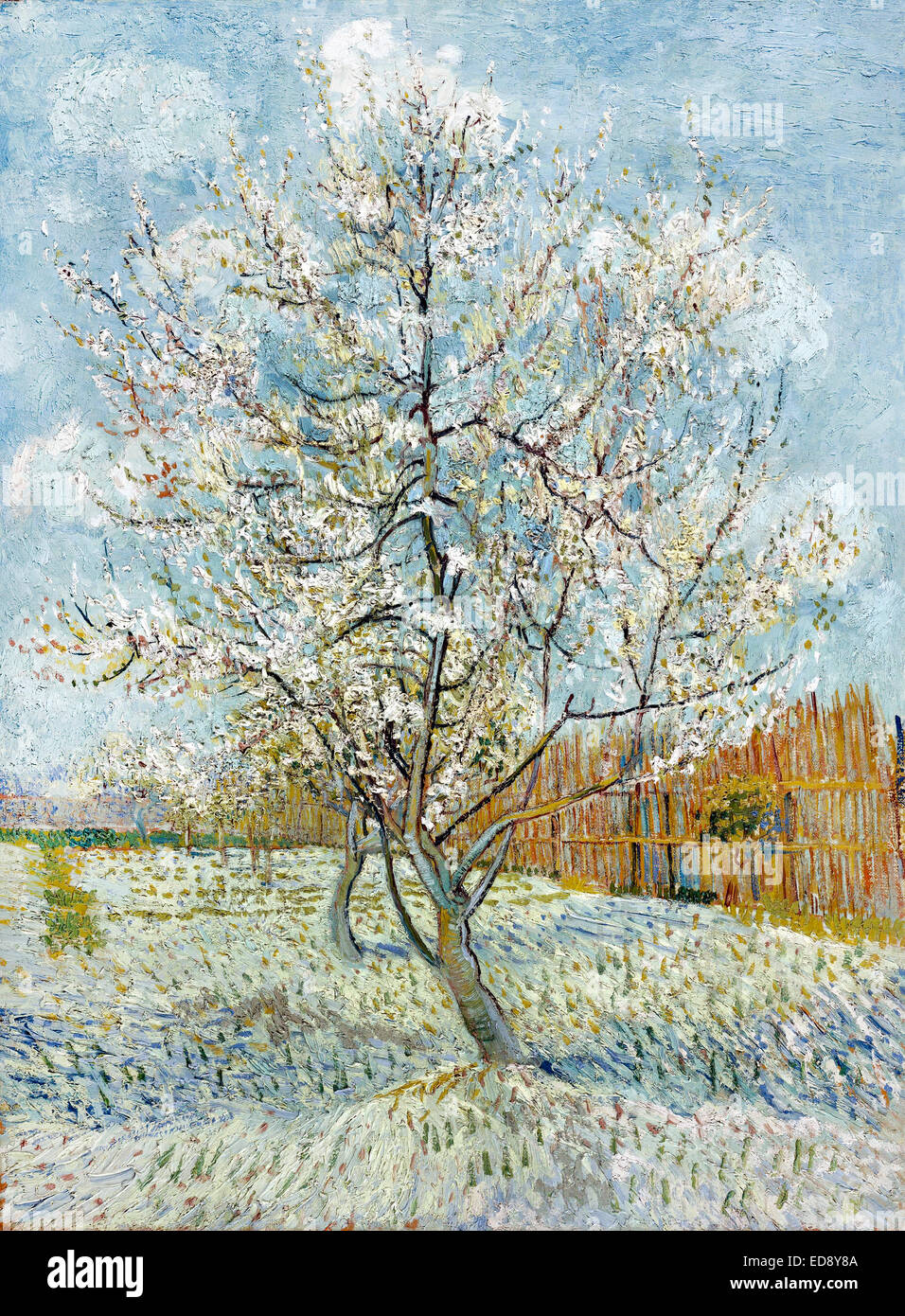 Vincent van Gogh, The Pink Peach Tree 1888 Oil on canvas. Van Gogh ...