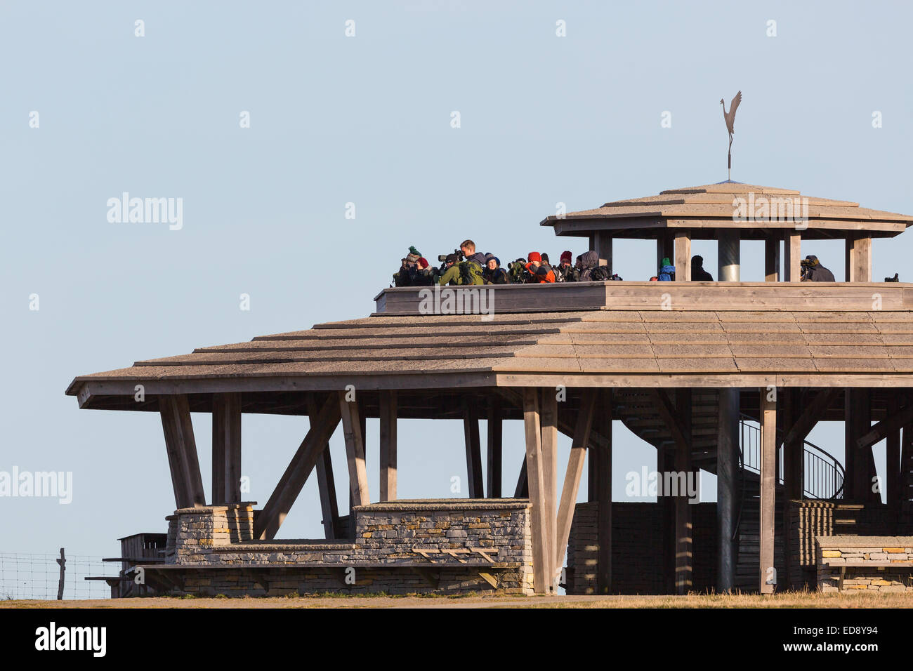 Birds watching tower hi-res stock photography and images - Alamy