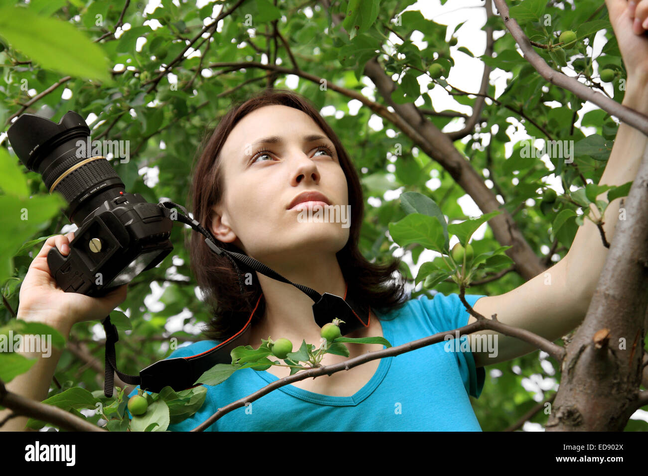 photographer on nature Stock Photo - Alamy