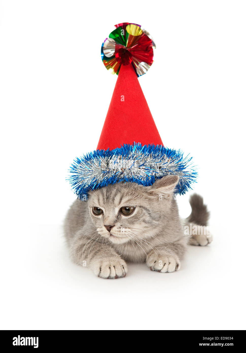 Christmas cat character Cut Out Stock Images & Pictures - Alamy