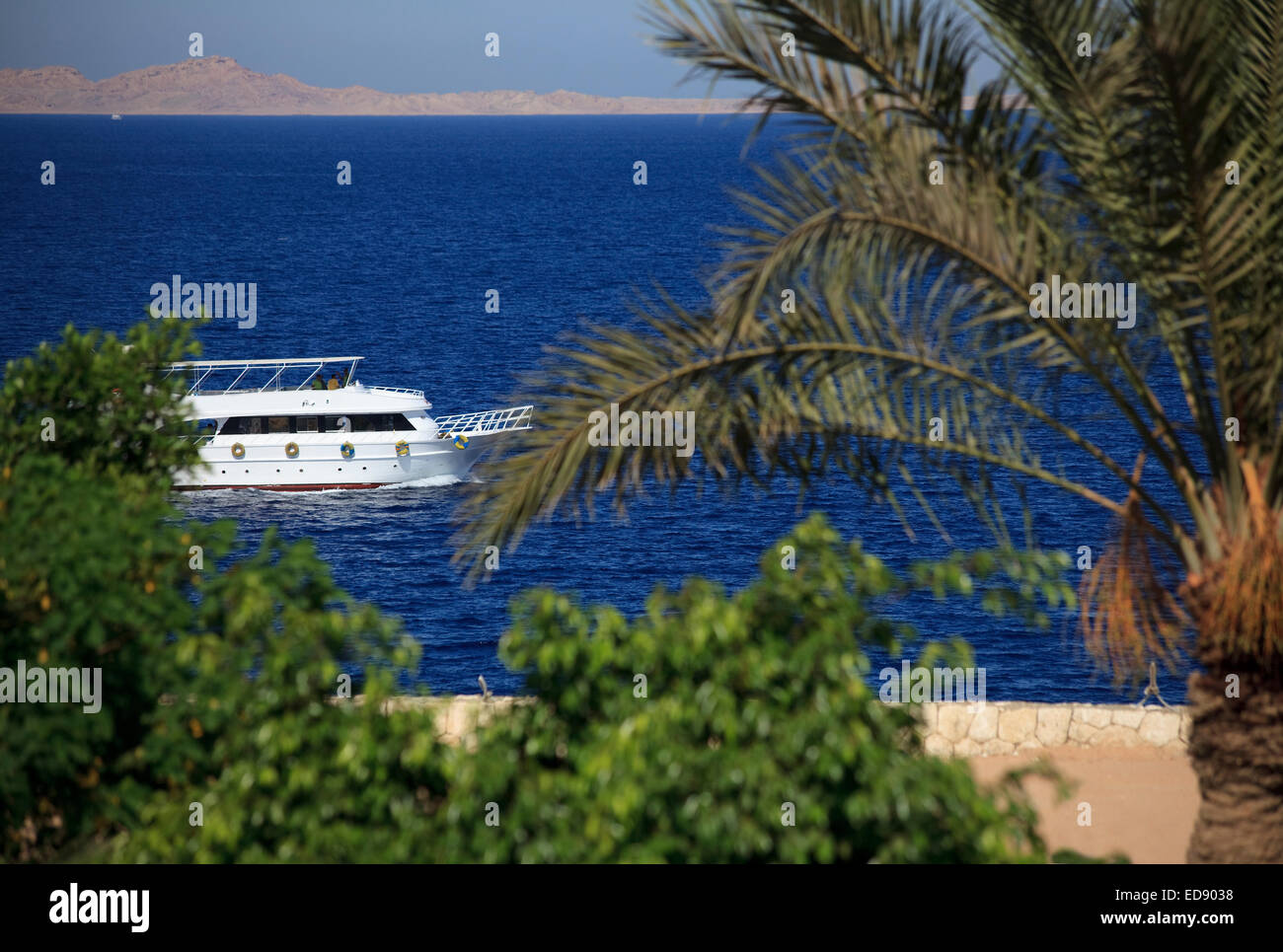 Yacht at Red Sea Stock Photo - Alamy
