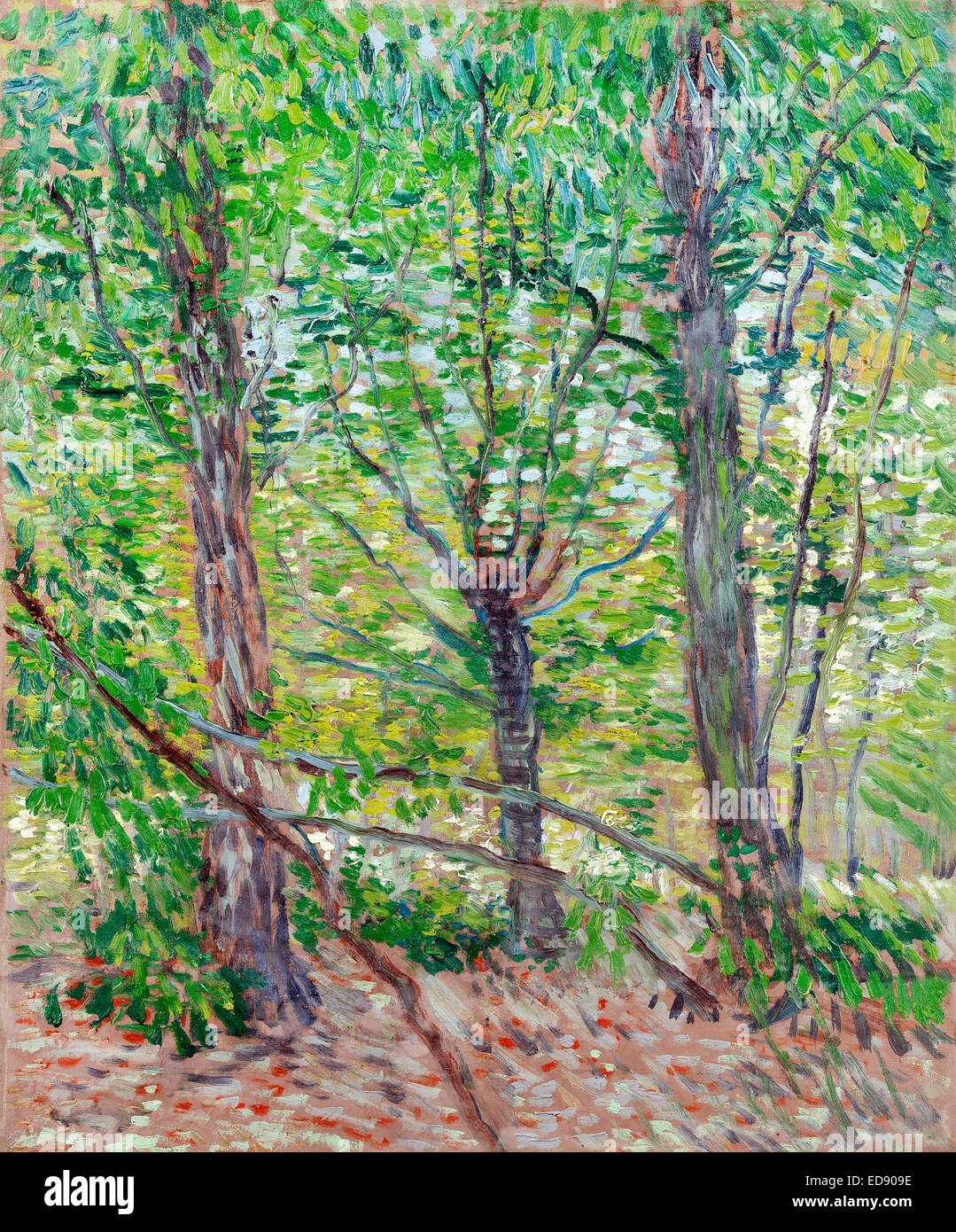 Vincent van Gogh: Trees and Undergrowth. 1887. Oil on canvas. Post ...