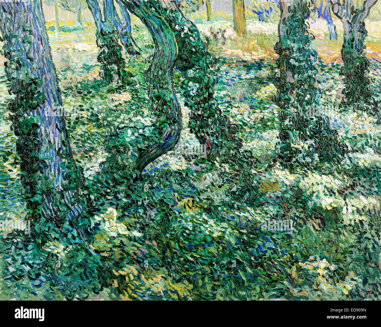 Undergrowth 1889 by vincent van gogh hi-res stock photography and ...