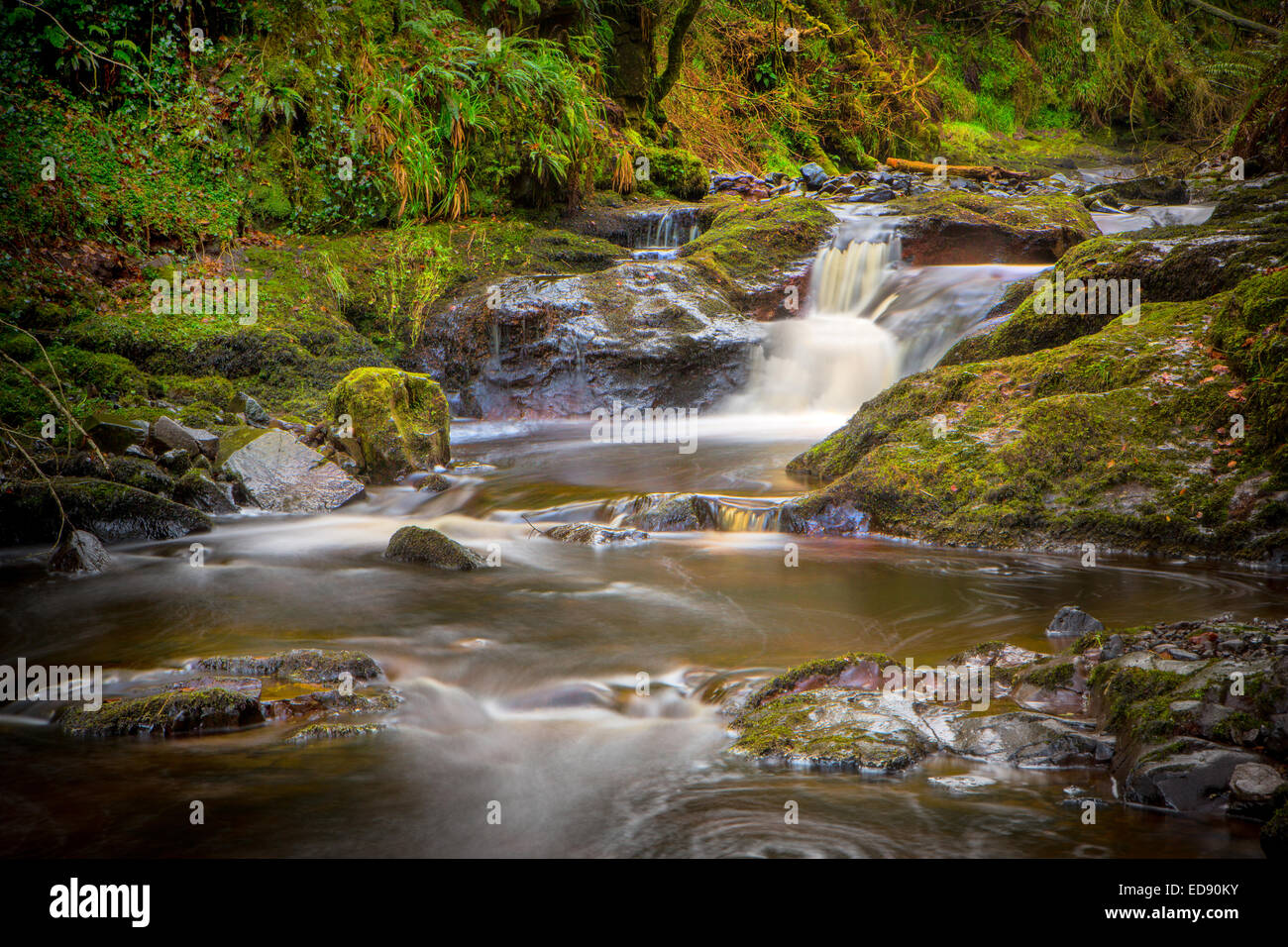Glenariff river hi-res stock photography and images - Alamy