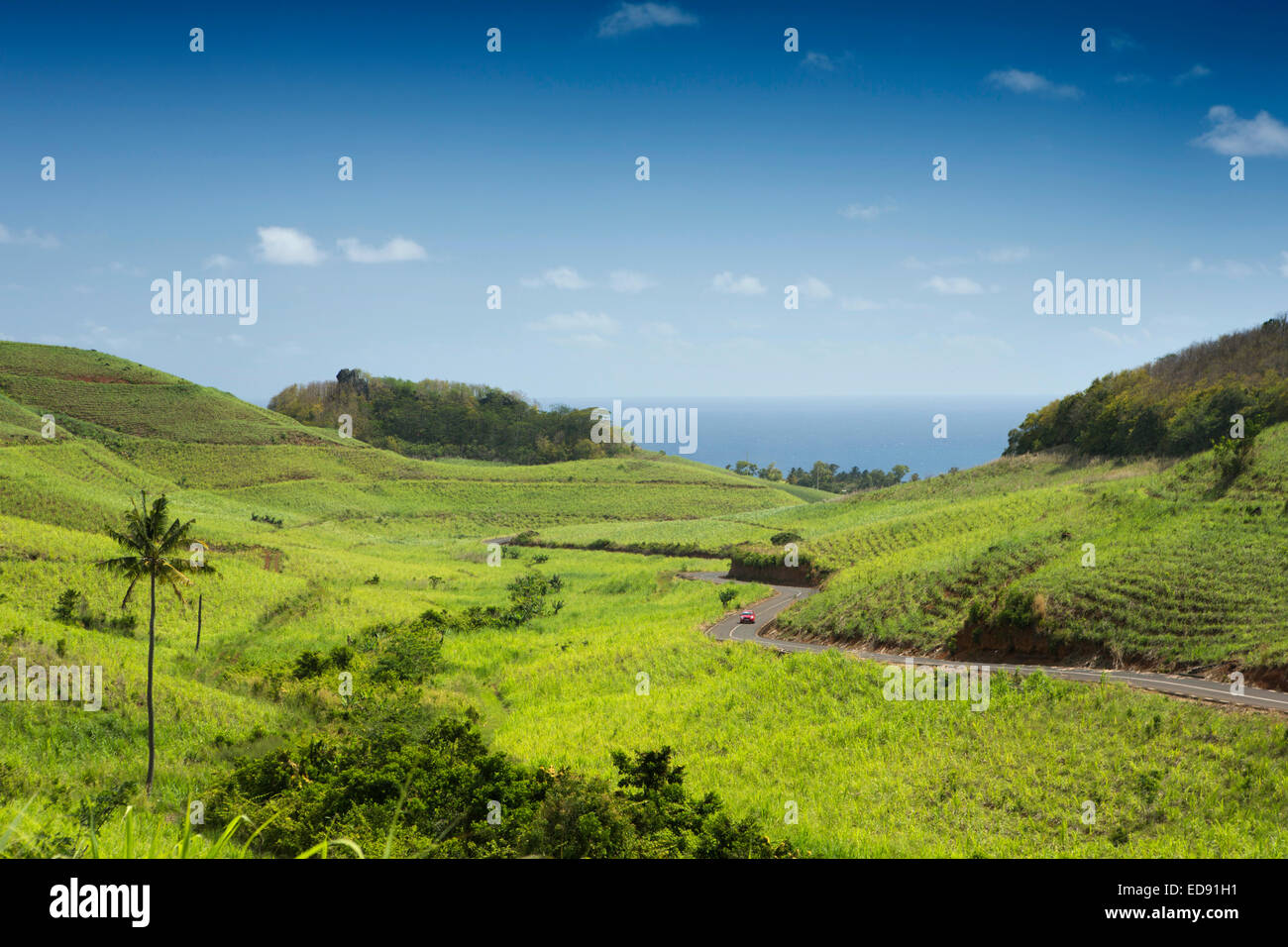 Mauritius, Bel Air, road from Maconde through hilltop sugar cane fields ...