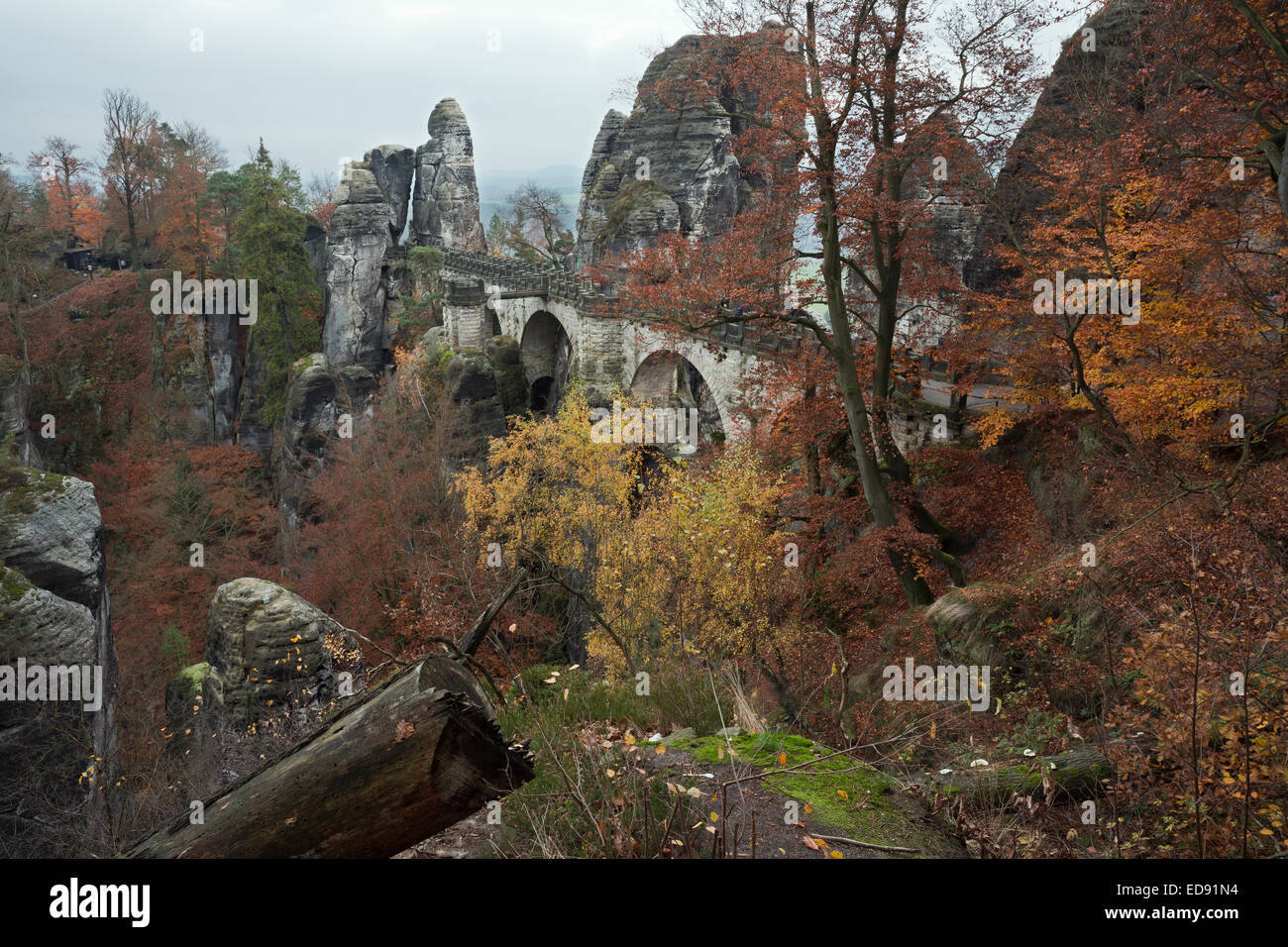 The Bastei bridge and its surroundings Stock Photo - Alamy