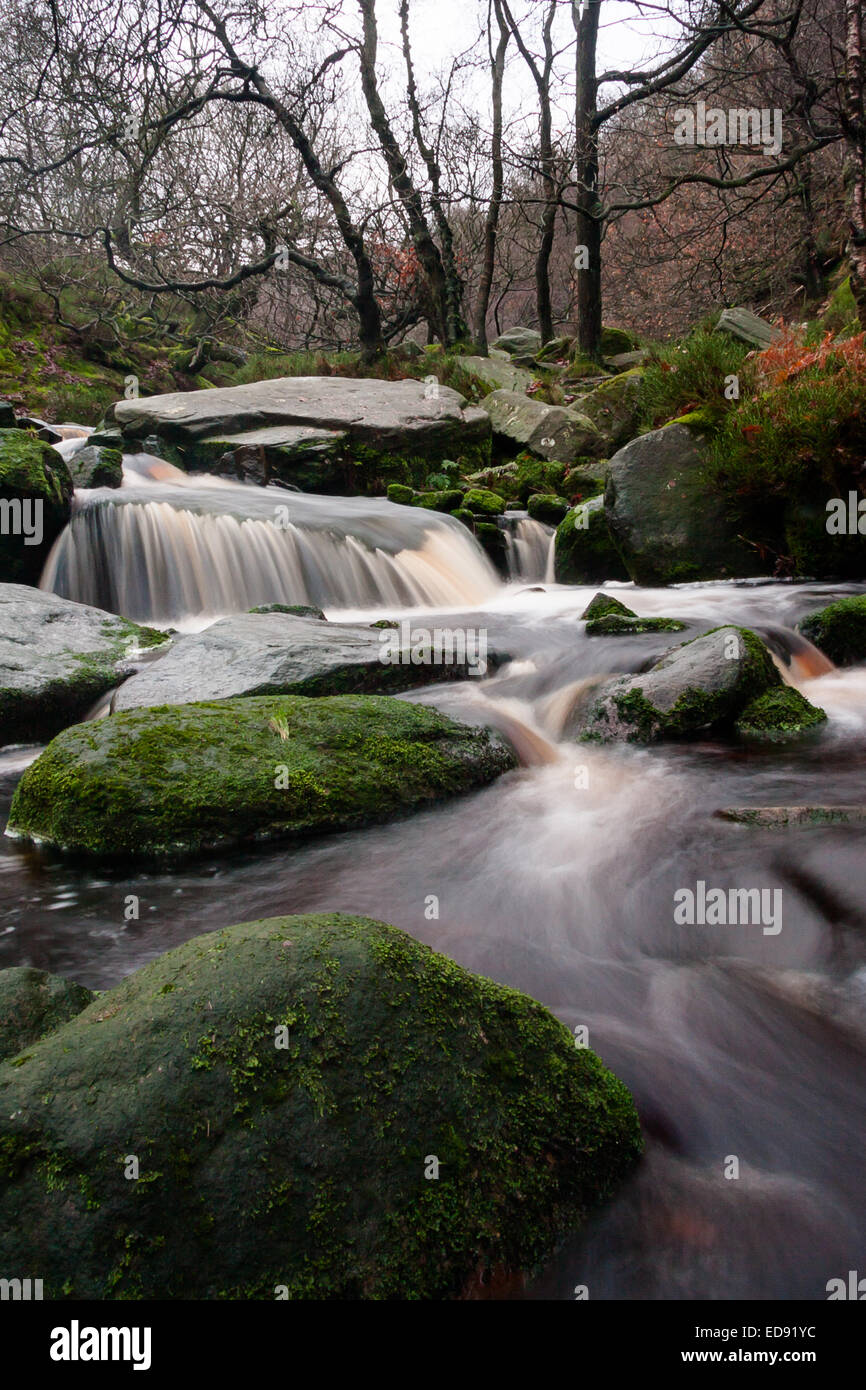 Waterfall wood hi-res stock photography and images - Alamy