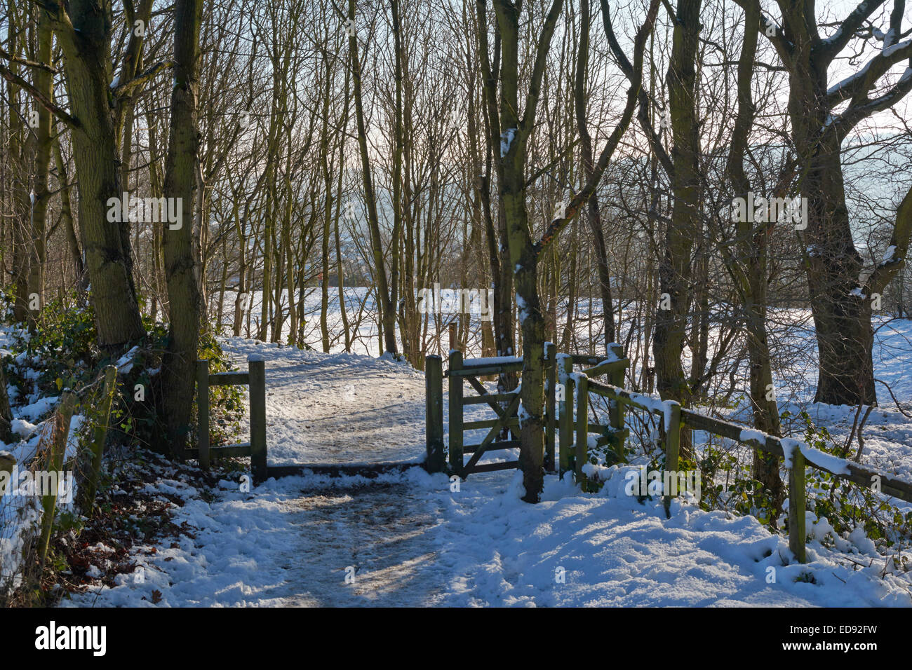 Loxley common hi-res stock photography and images - Alamy