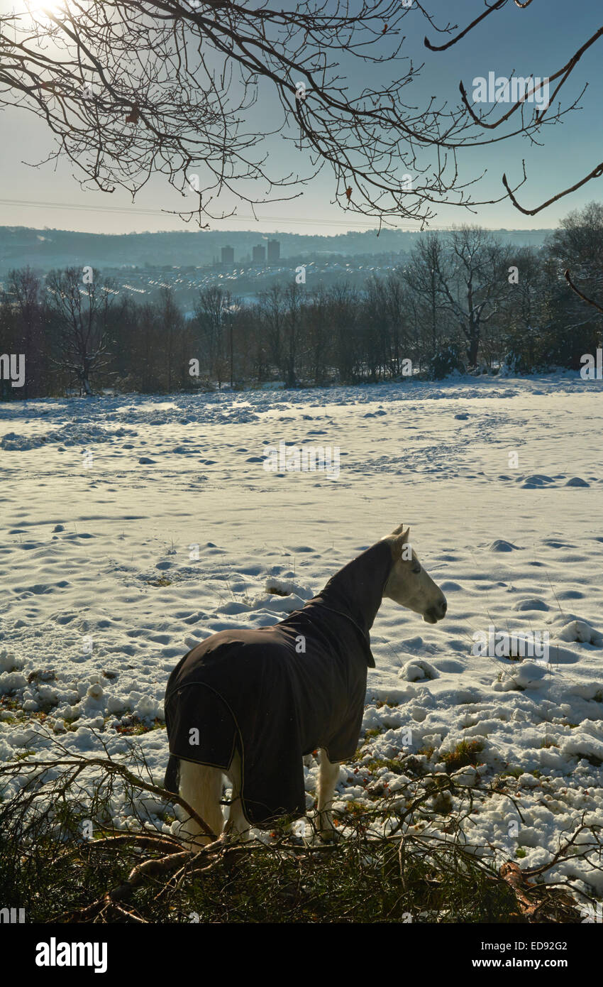 The view from Loxley Common looking towards Stannington in Sheffield ...