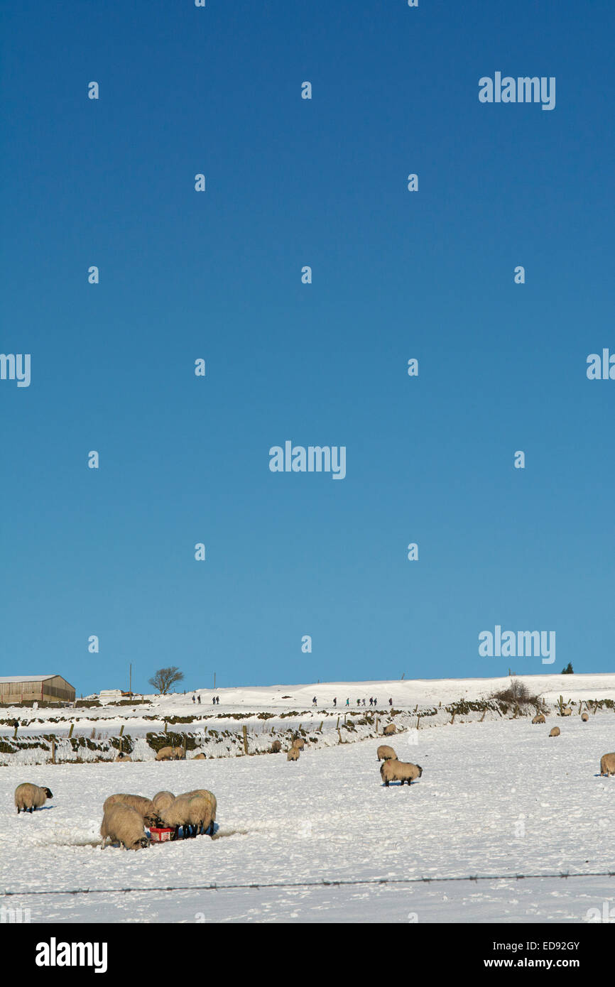 Sheffield snow hi-res stock photography and images - Alamy