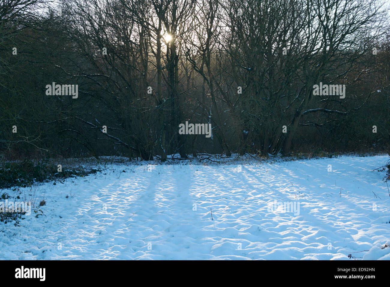 Snow Fields in Loxley, Sheffield, England, UK Stock Photo - Alamy