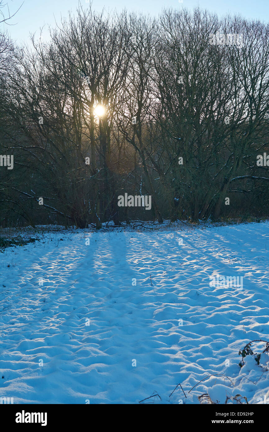 Sheffield field uk hi-res stock photography and images - Alamy