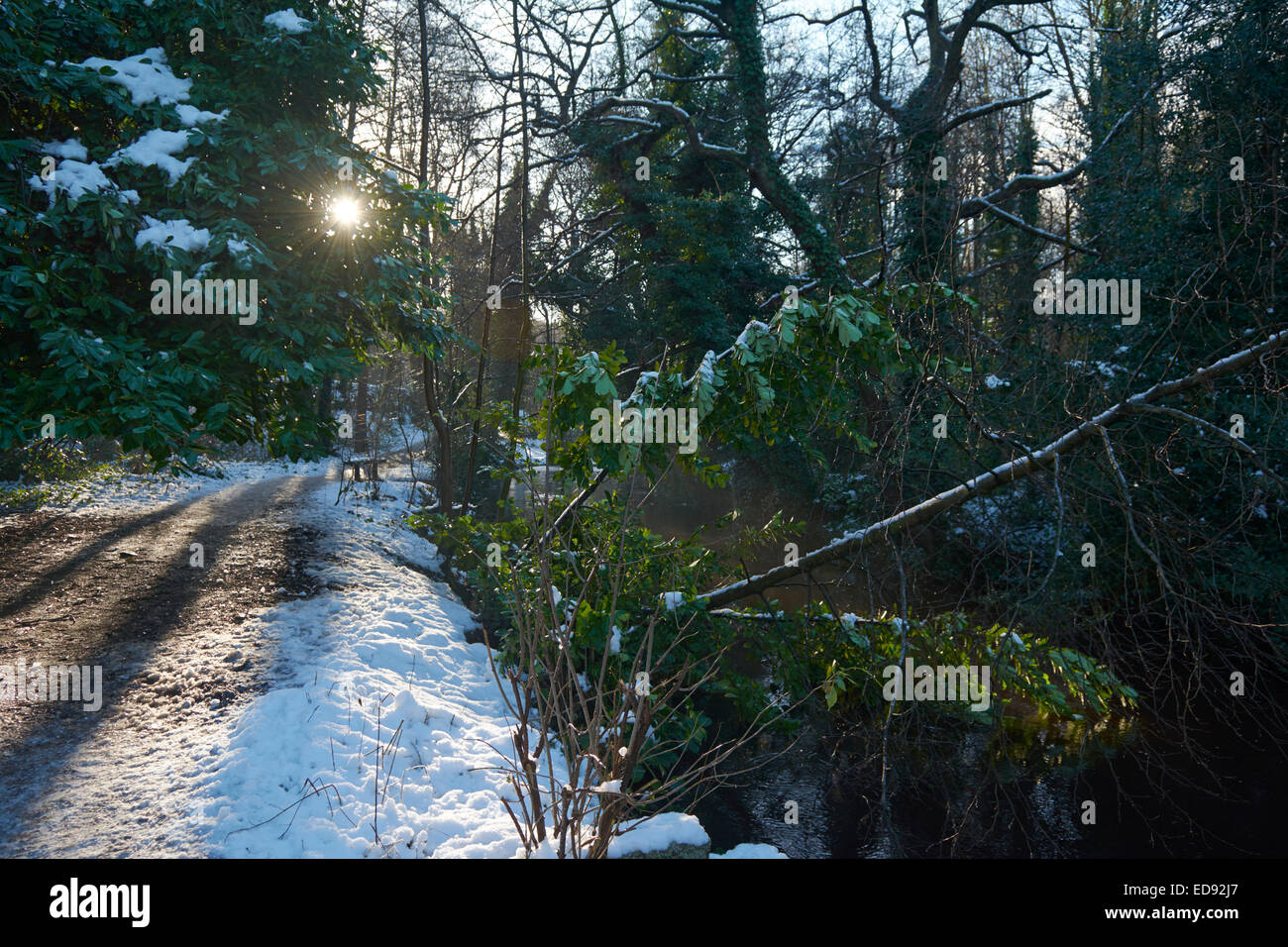 Snow on the Rivelin Valley Walkway - Sheffield, England, UK Stock Photo ...