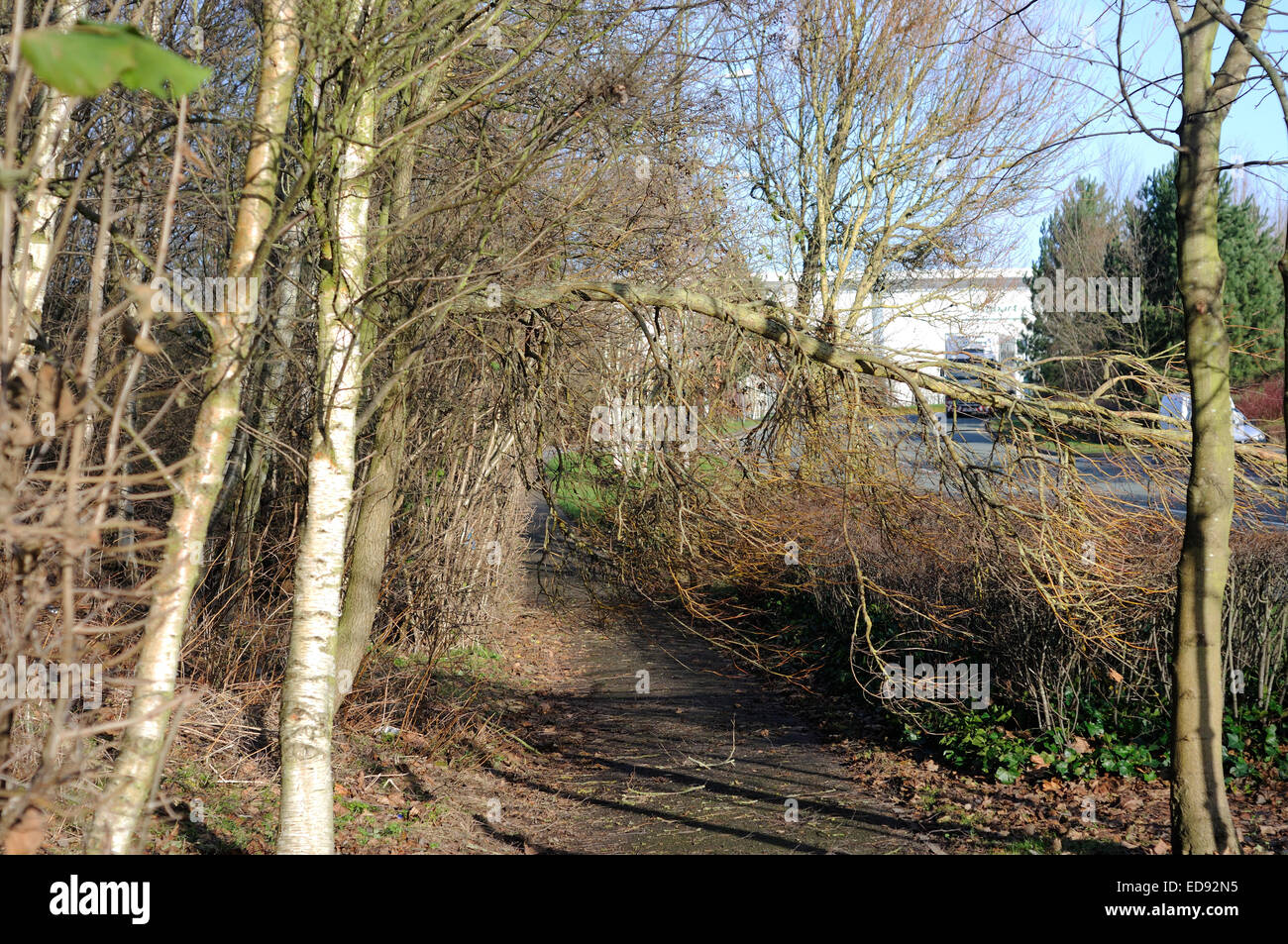 Annesley nottinghamshire hi-res stock photography and images - Alamy