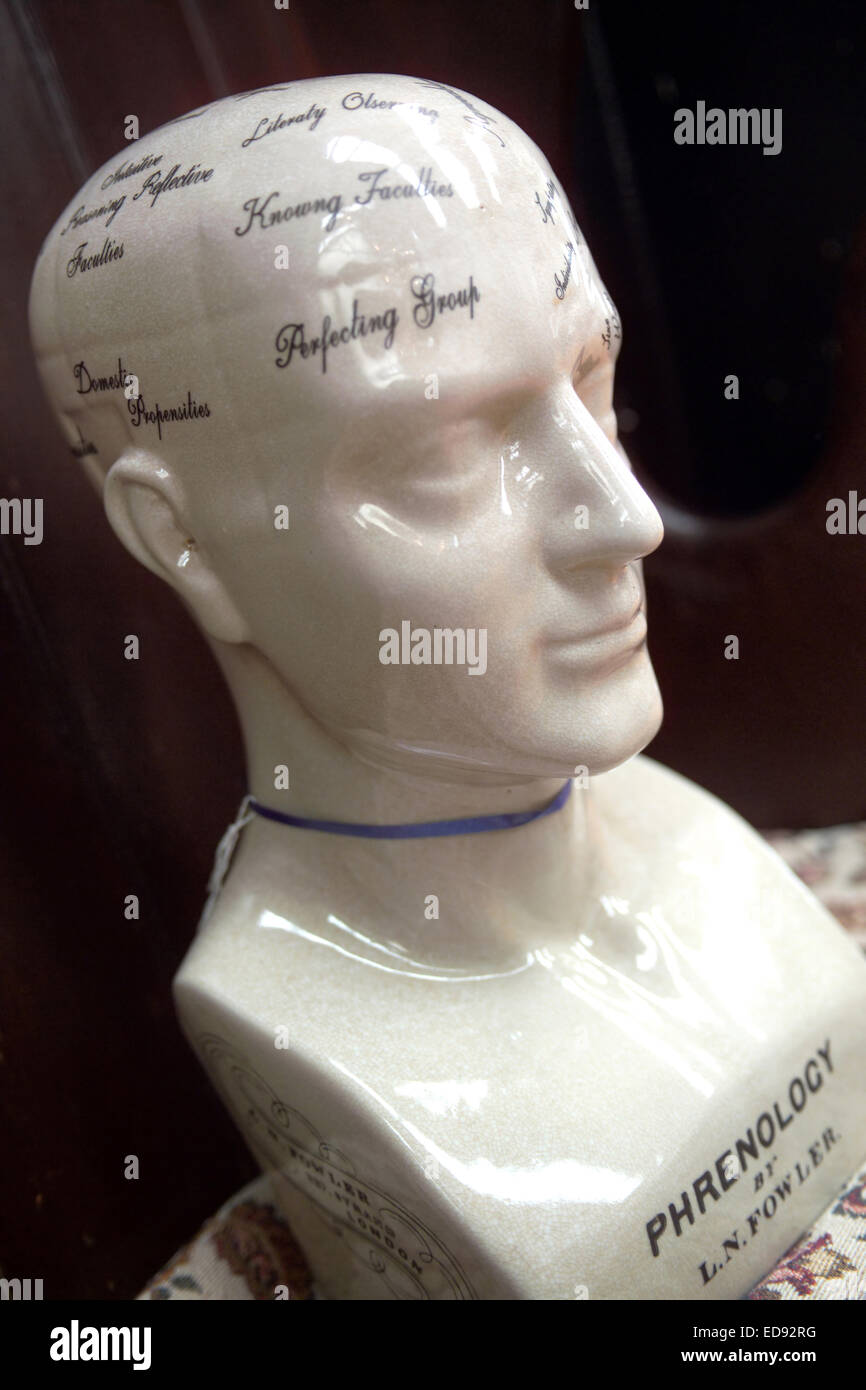 Ceramic phrenology head Stock Photo - Alamy