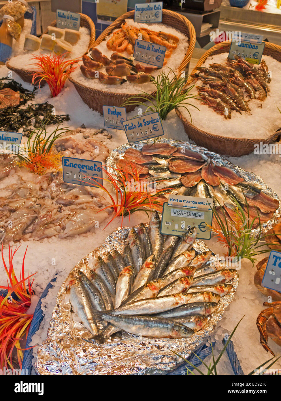 Paris Fish Market Display With Sardines, Squid, Crab, Octopus, and Cray ...