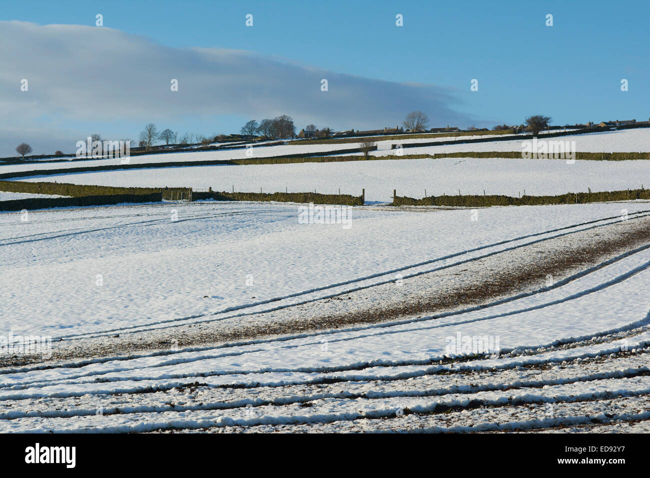 Snowy Fields at Parkside Farm, Stannington, England, UK Stock Photo - Alamy