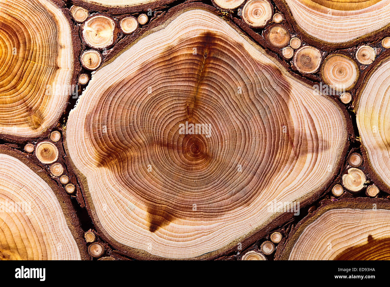 Close up of the decorative wooden panel Stock Photo - Alamy