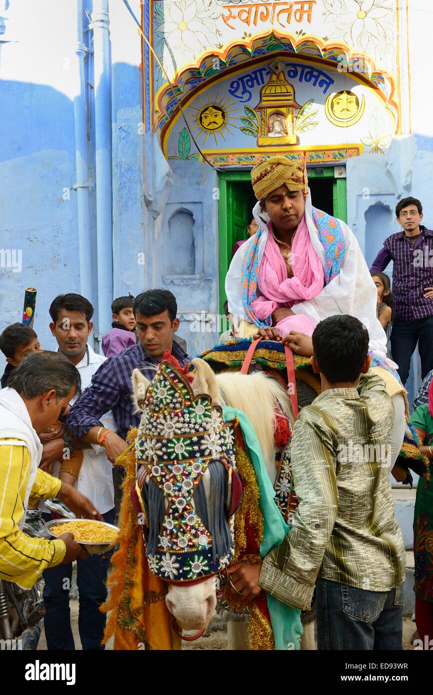 India, Rajasthan, Mewar Region, town of Bundi, the husband's horse ...