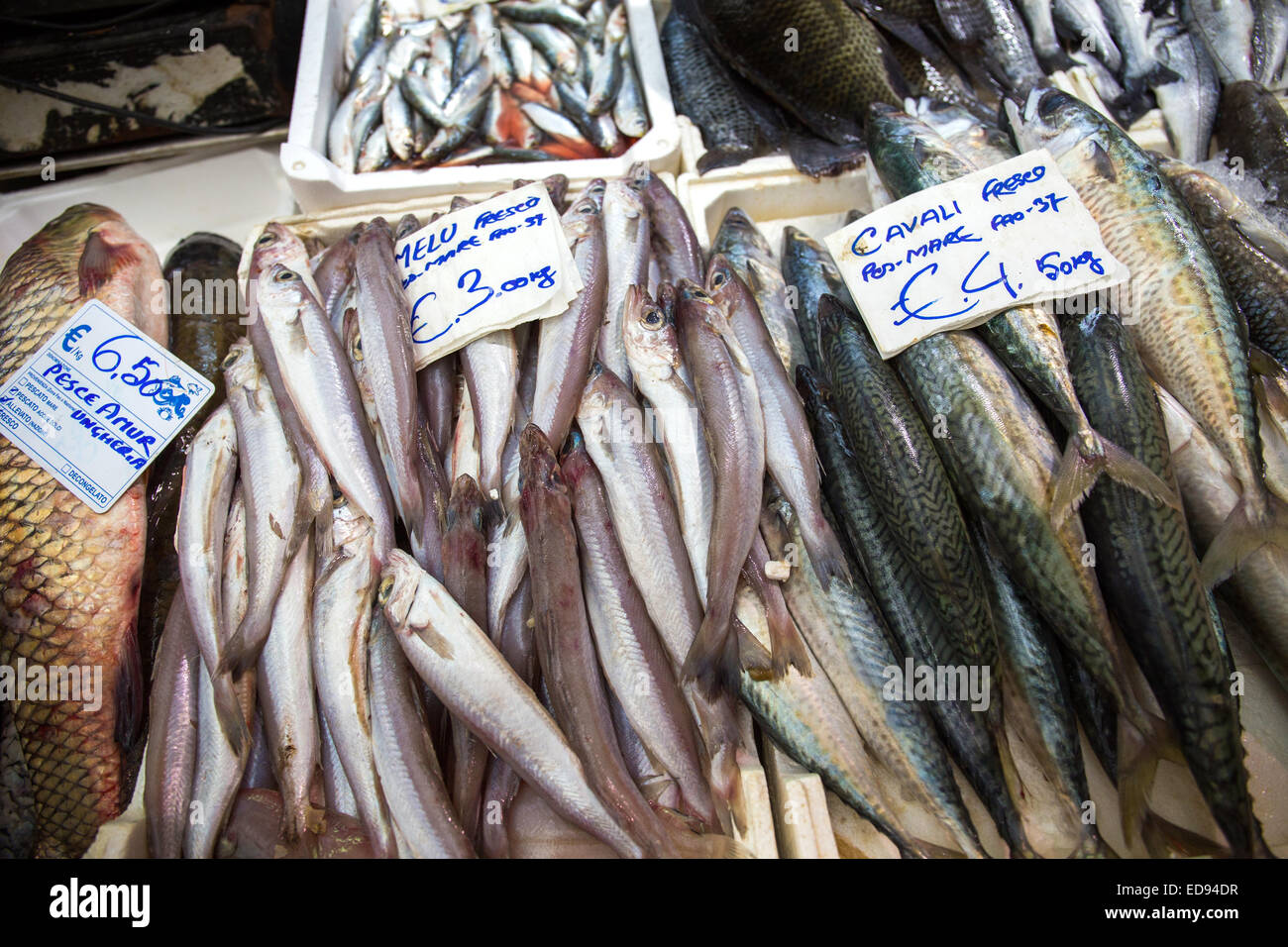 Fresh fish market italy rome hi-res stock photography and images - Alamy