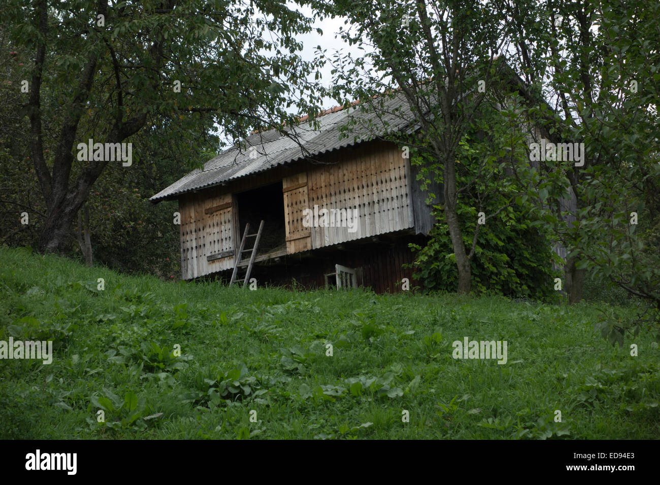 Village life in Romania Stock Photo - Alamy