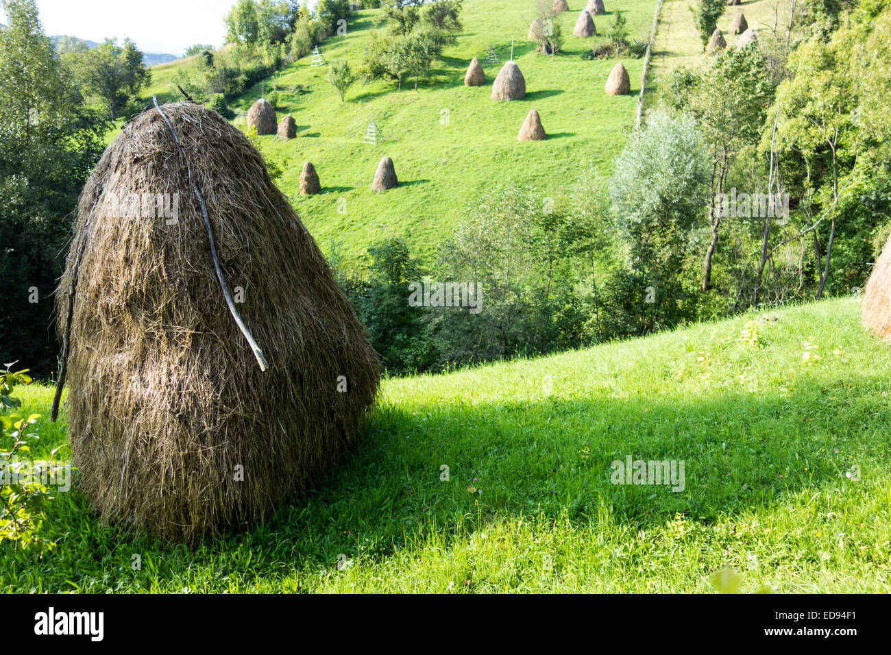 Haystack haystacks romania romanian hi-res stock photography and images ...