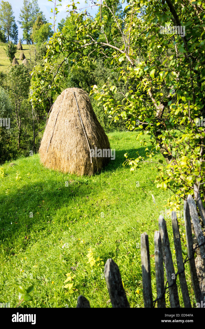 Haystacks in Romanian valley Stock Photo - Alamy