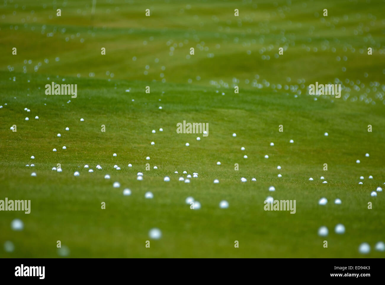 Lots of golf balls hi-res stock photography and images - Alamy