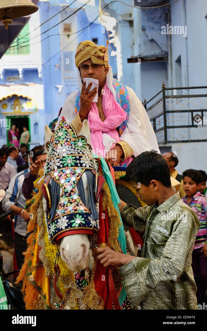 India, Rajasthan, Mewar Region, town of Bundi, the husband's horse ...