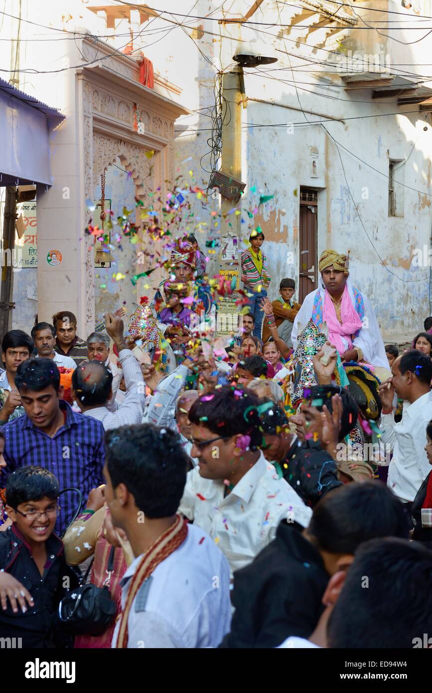 India, Rajasthan, Mewar Region, town of Bundi, the husband's horse ...