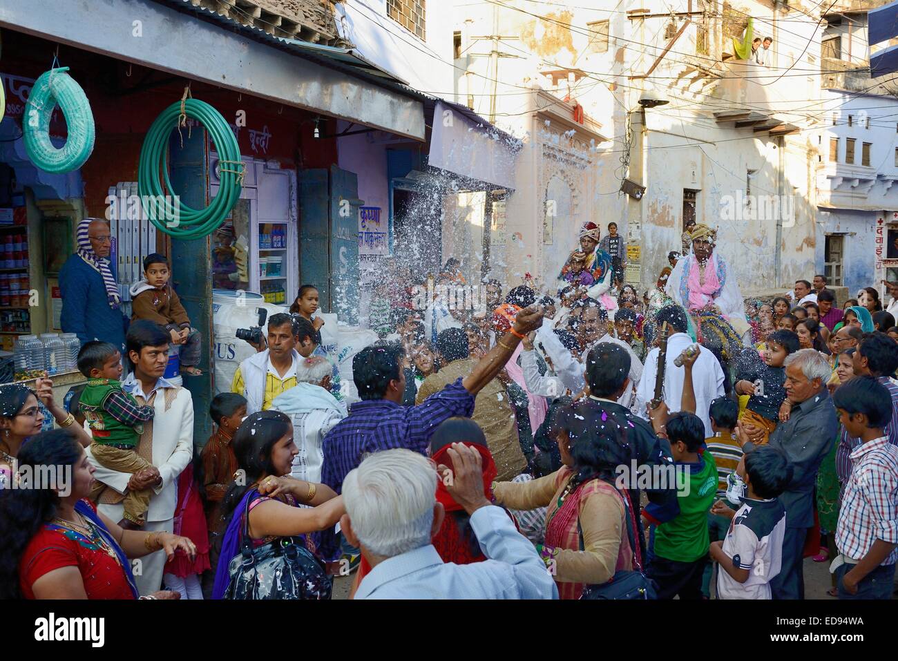 India, Rajasthan, Mewar Region, town of Bundi, the husband's horse ...