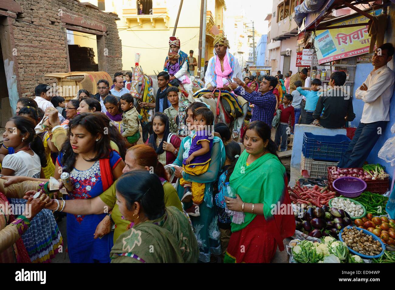 India, Rajasthan, Mewar Region, town of Bundi, the husband's horse ...