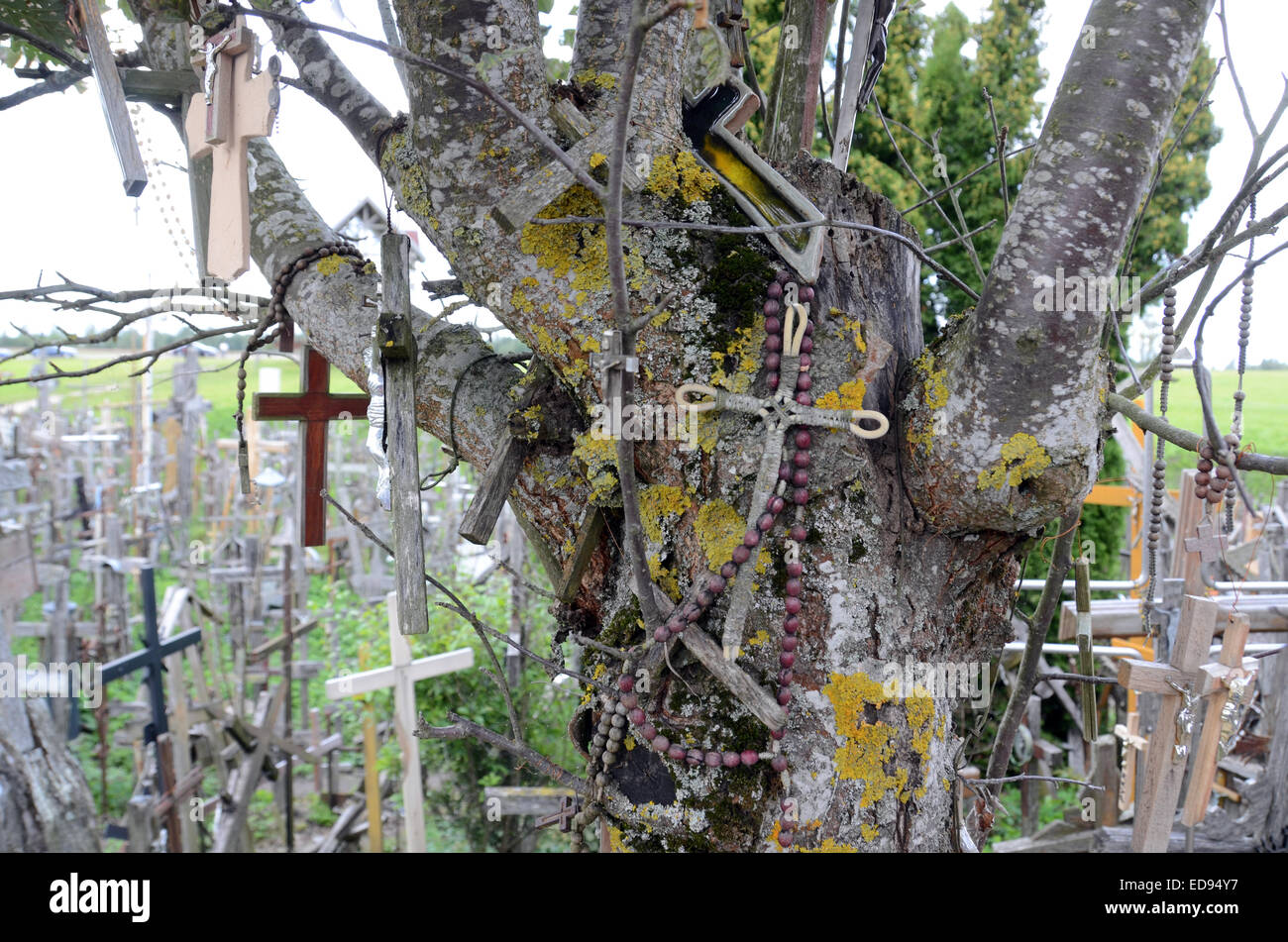 The Hill of Crosses in Lithuania crosses catholic shrine Stock Photo ...