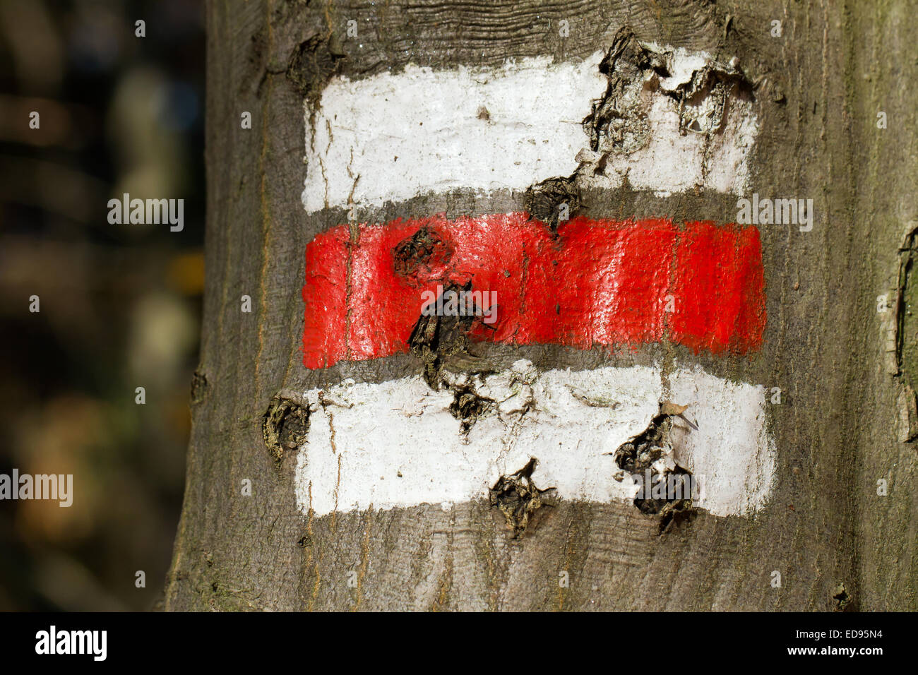 Tourist signs on the tree Stock Photo - Alamy