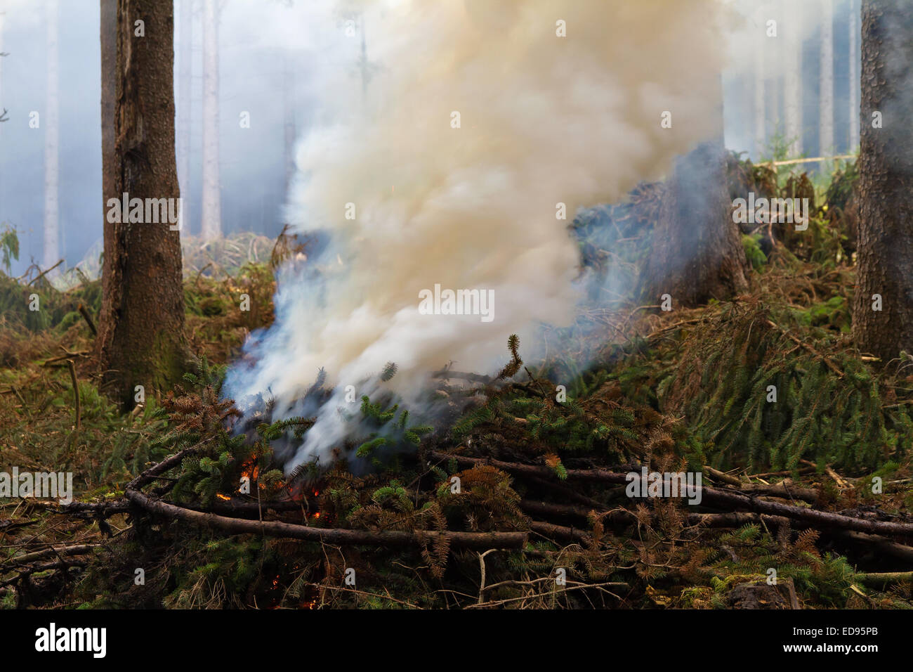 Smoke extraction hi-res stock photography and images - Alamy