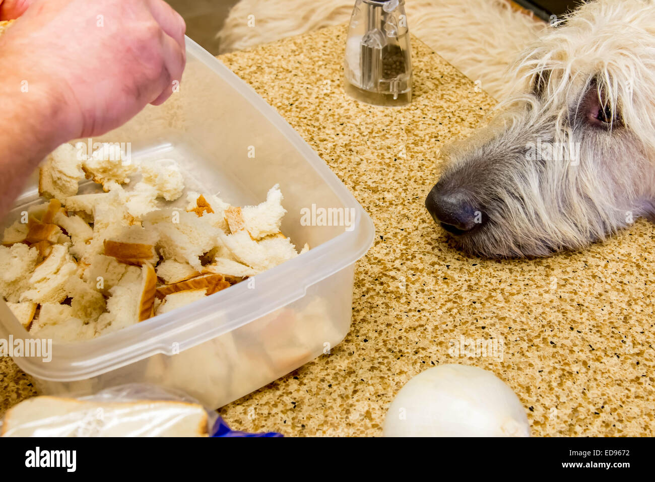 Tearing bread hi-res stock photography and images - Alamy