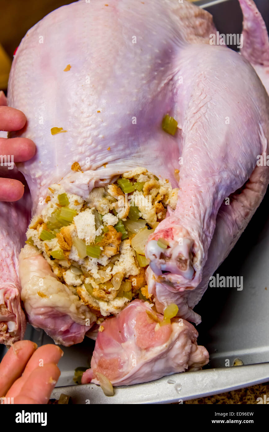 Thanksgiving meal preparation - stuffing a turkey Stock Photo - Alamy