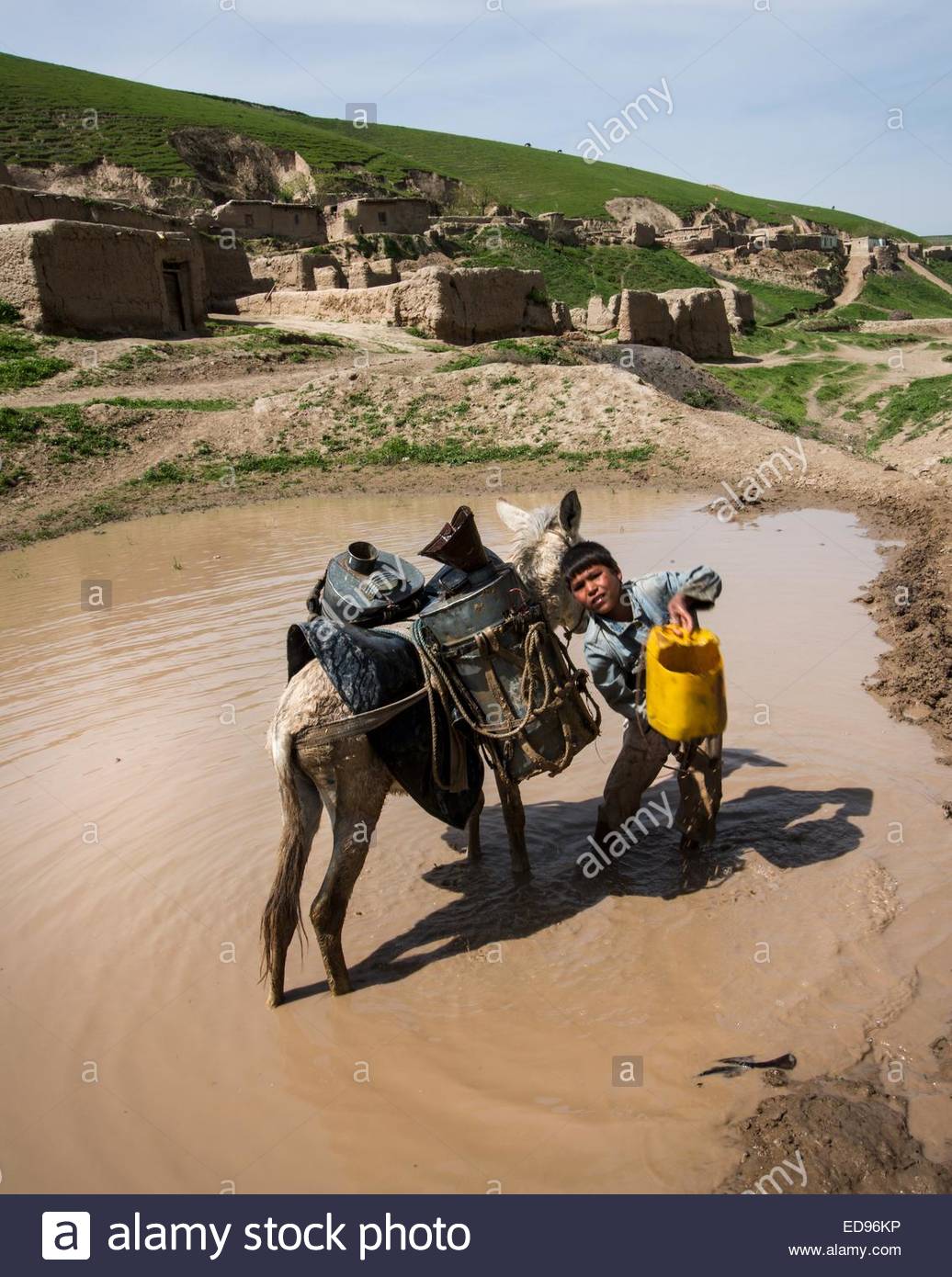 Donkey At Water High Resolution Stock Photography and Images - Alamy