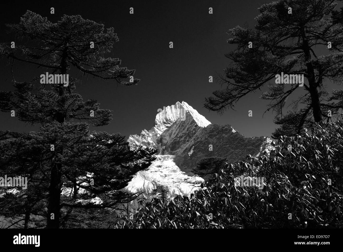 Camp on snowy river Black and White Stock Photos & Images - Alamy