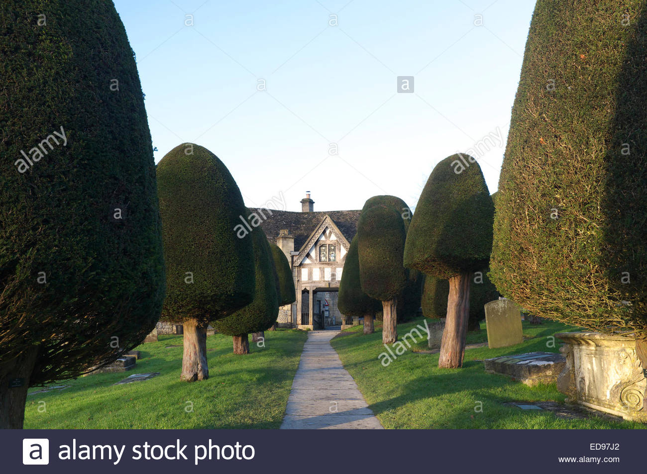 St Marys Church Yew Tree High Resolution Stock Photography and Images ...